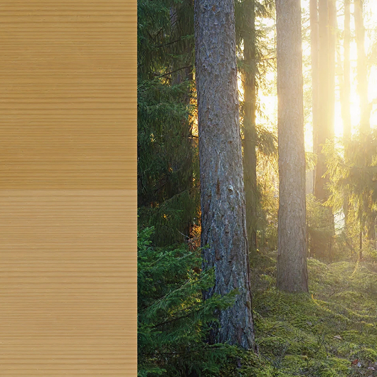 Spruce wooden doors » the scent of the forest | Pirnar
